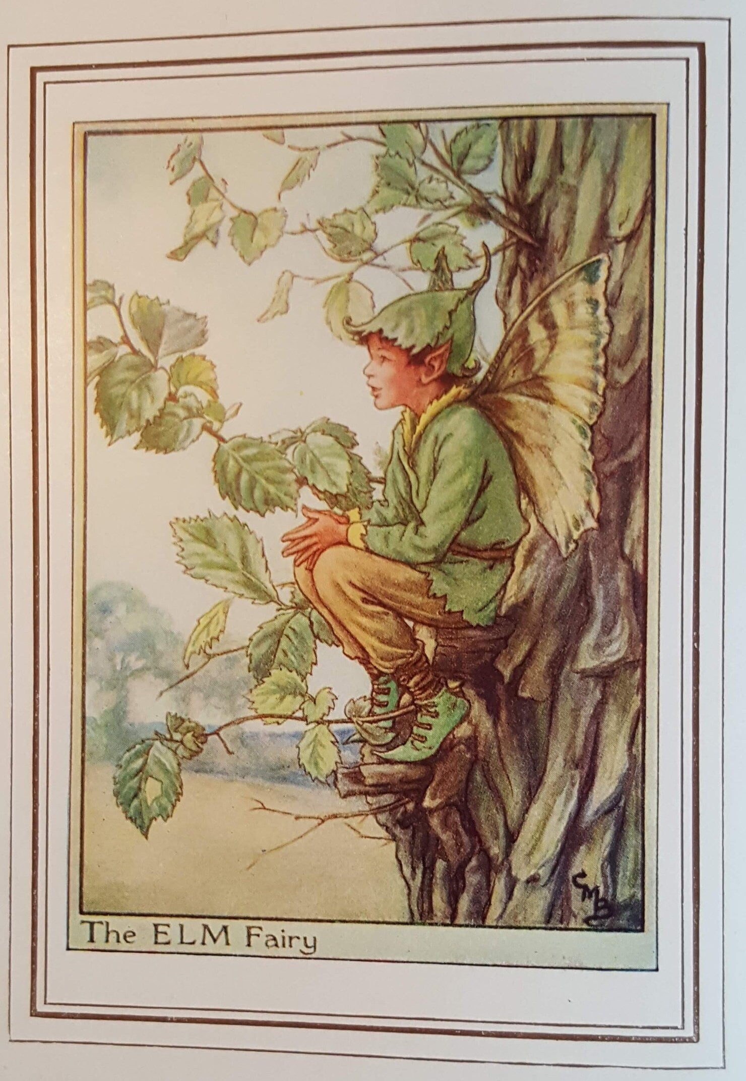 Elm Tree Flower Fairy UNMOUNTED Flower Fairies 1930's CICELY M BARKER ...