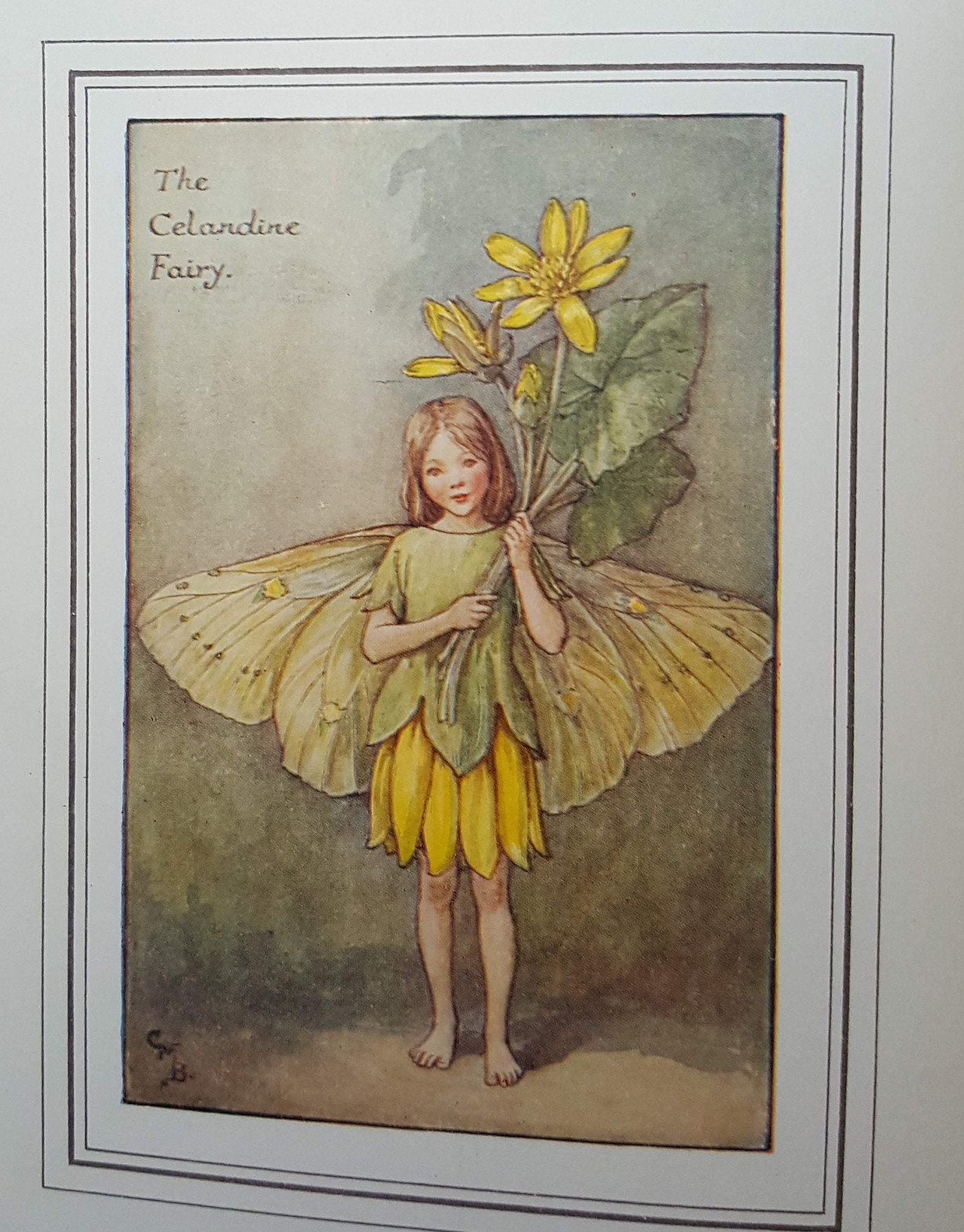 Celandine Flower Fairy UNMOUNTED Flower Fairies 1930's CICELY M BARKER ...
