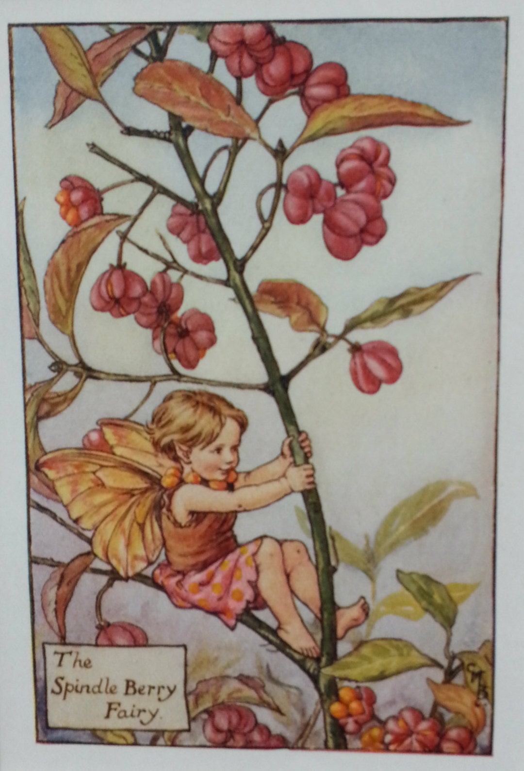 Flower Fairy Vintage Print 1930s Spindle Berry Cicely Mary Barker