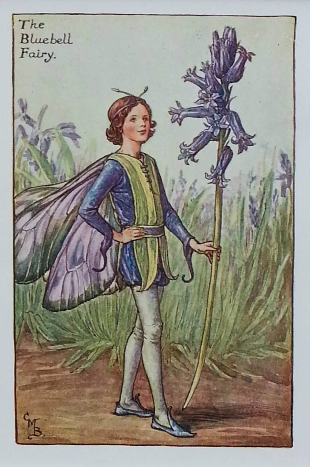 Flower Fairy Mounted Original Vintage Print 1930s Bluebell Fairy CICELY ...