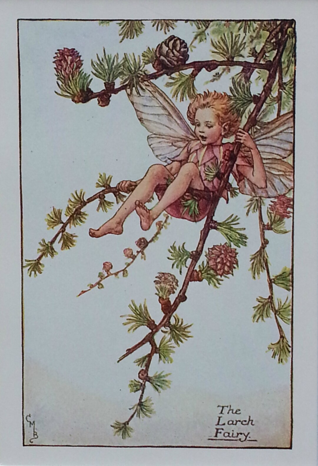 Flower Fairy Vintage Print 1930s Mounted Larch Fairy CICELY MARY BARKER ...