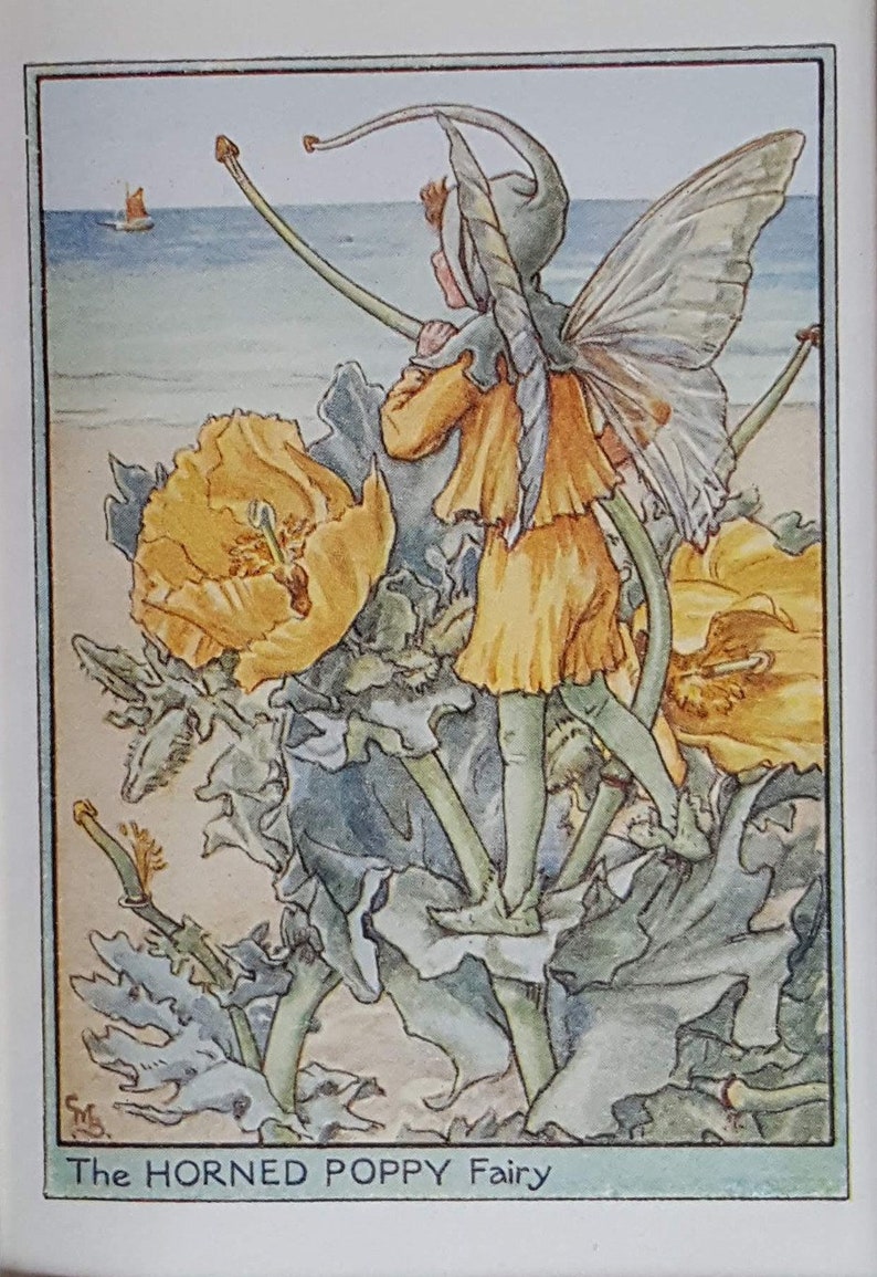 The Horned Poppy Fairy Vintage Print CICELY MARY BARKER Flower - Etsy UK