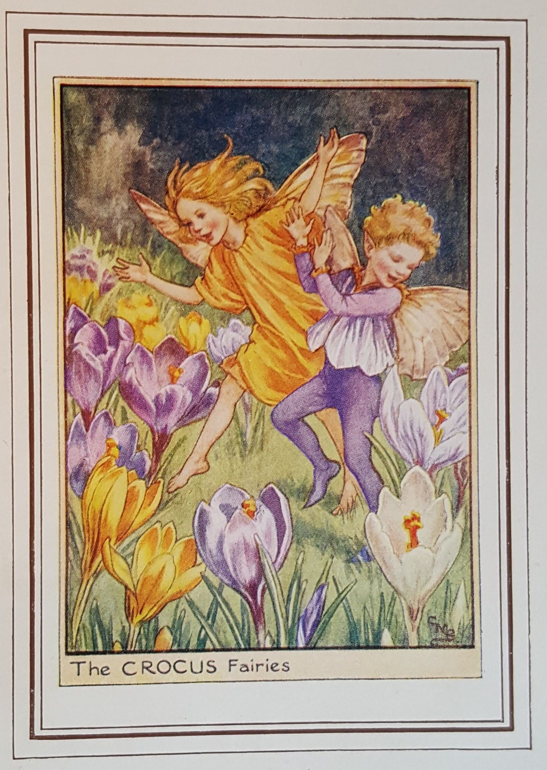 Crocus Flower Fairy UNMOUNTED Flower Fairies 1930's CICELY M BARKER ...