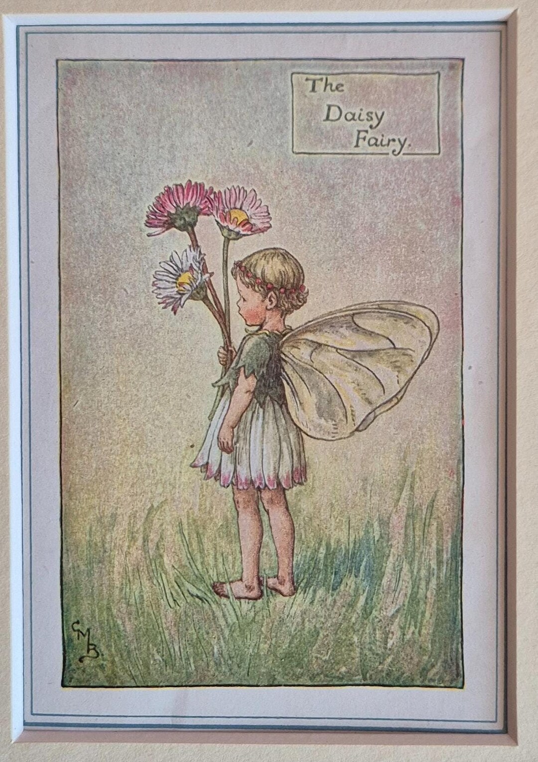 Flower Fairies Daisy Flower Fairy - Ciceley Mary BARKER Nostalgic ...
