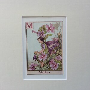 Flower Fairies Mounted M Mallow Alphabet Flower Fairy CICELY MARY ...