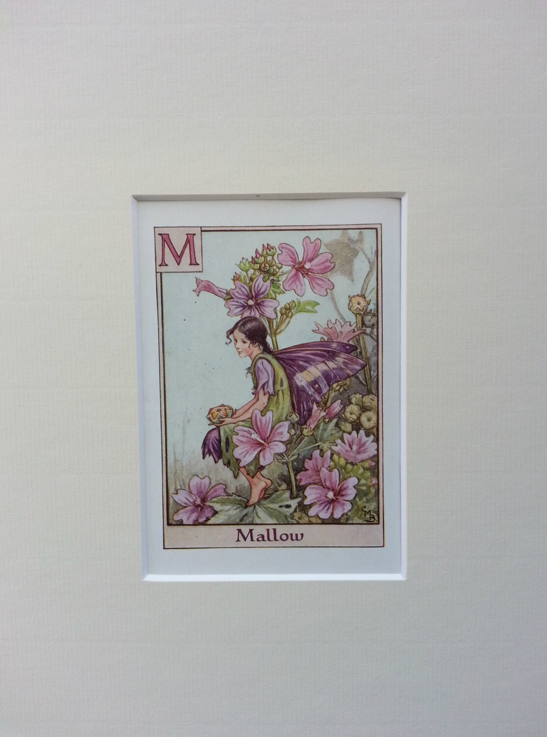 Flower Fairies Mounted M Mallow Alphabet Flower Fairy CICELY - Etsy UK