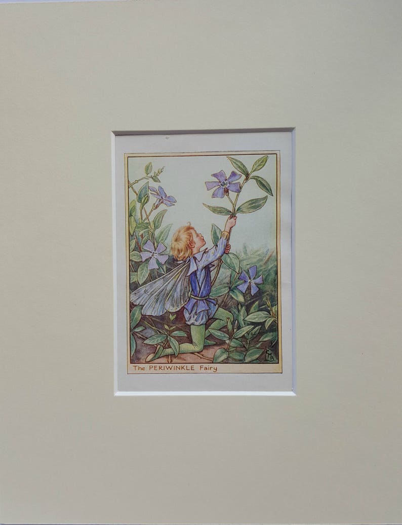 Flower Fairy Mounted Vintage Print Periwinkle Fairy Cicely Etsy