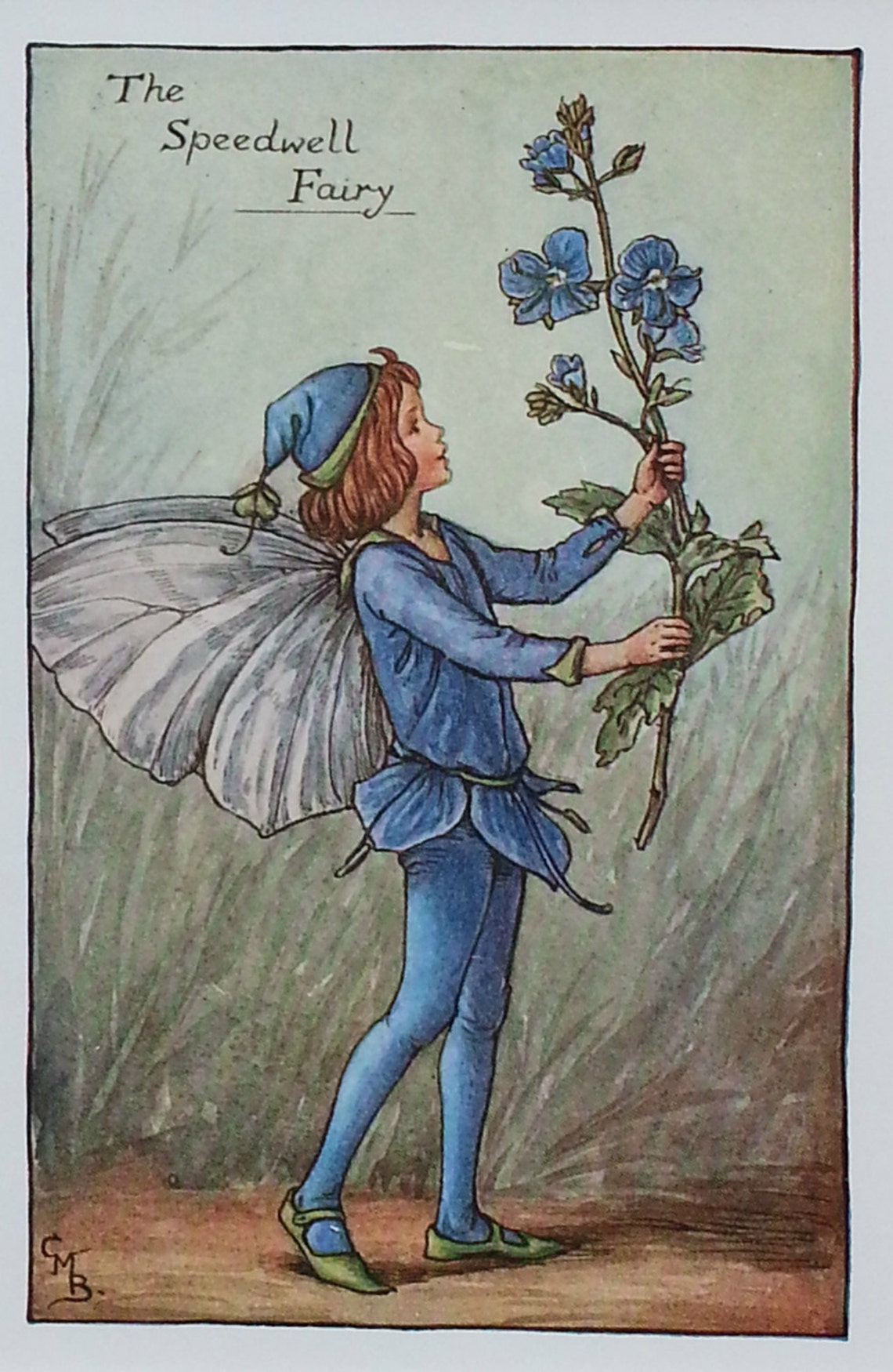 Flower Fairy Vintage Print 1930s Speedwell Flower Fairy CICELY MARY ...
