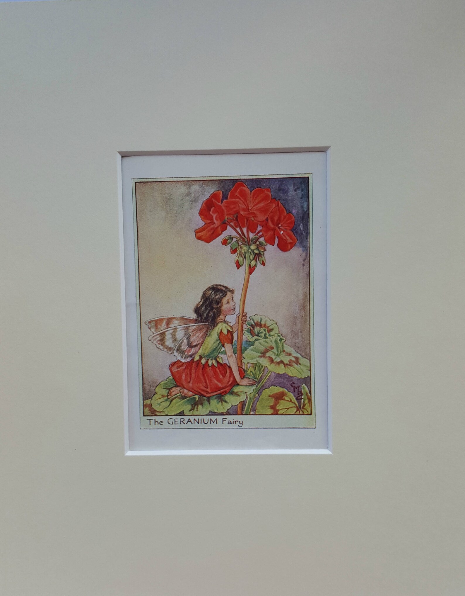 Flower Fairy Mounted Vintage Print Geranium Fairy Cicely Mary Barker ...