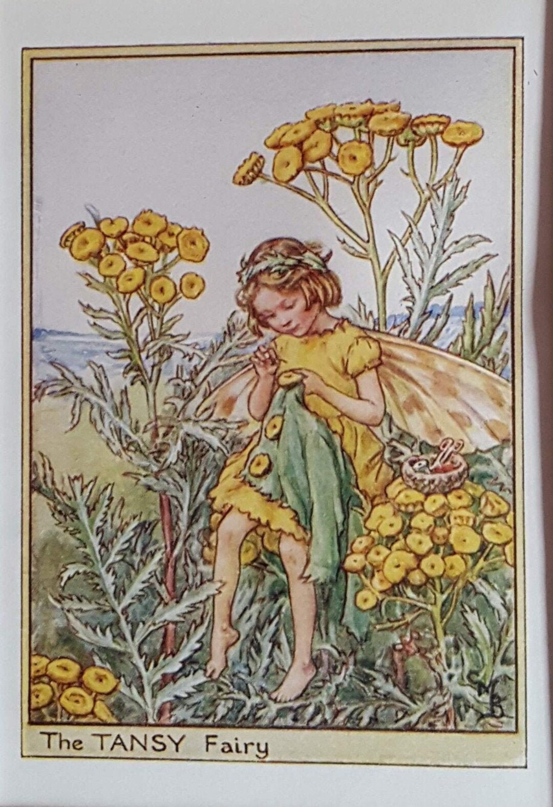The Tansy Fairy 1930's Vintage Print CICELY MARY BARKER Flower Fairies Nostalgic Original Print ...