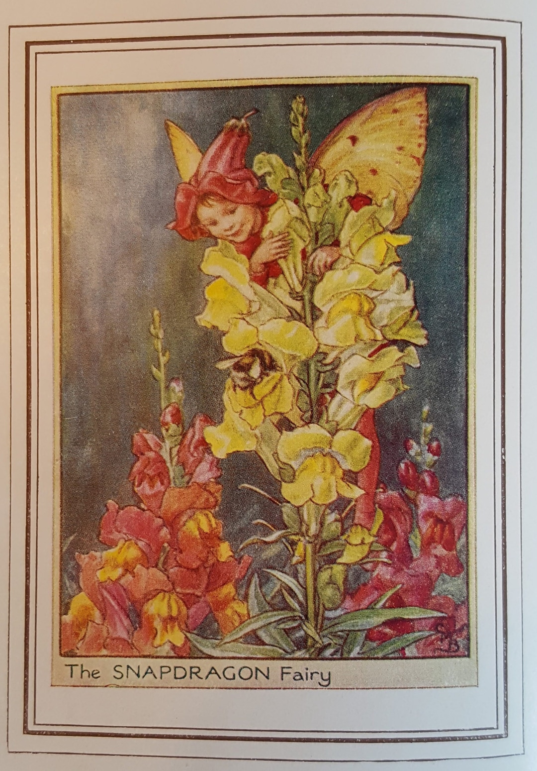 Snapdragon Flower Fairy UNMOUNTED Flower Fairies 1930's CICELY M BARKER ...