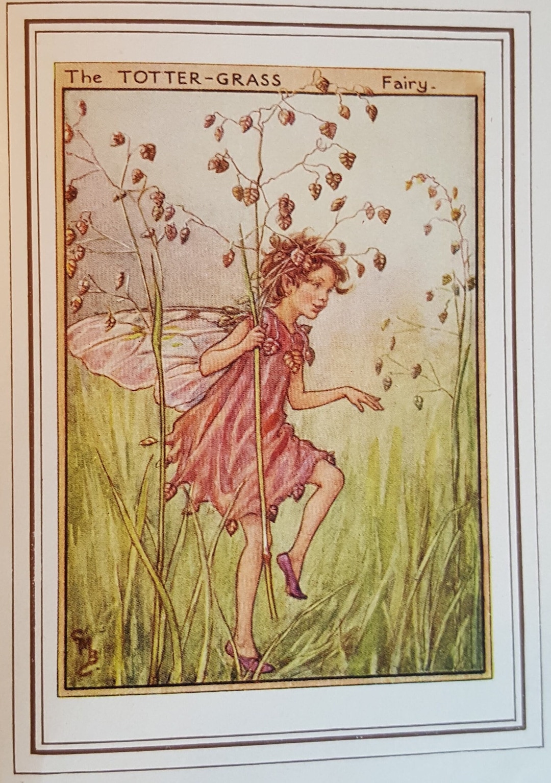 Totter Grass, Quaking Grass Flower Fairy UNMOUNTED Flower Fairies 1930 ...