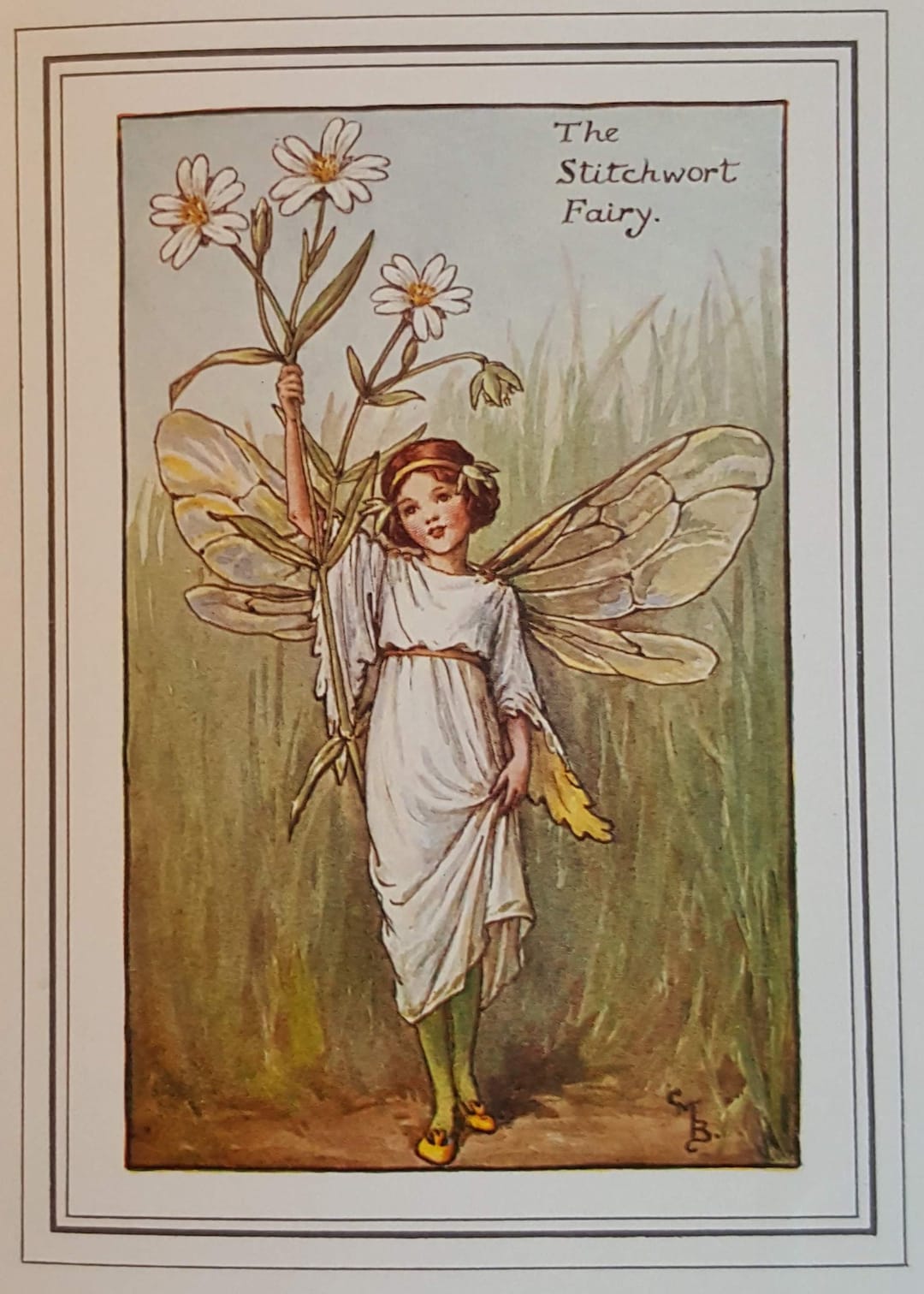 Stitchwort Spring Flower Fairy UNMOUNTED Flower Fairies 1930's CICELY M ...