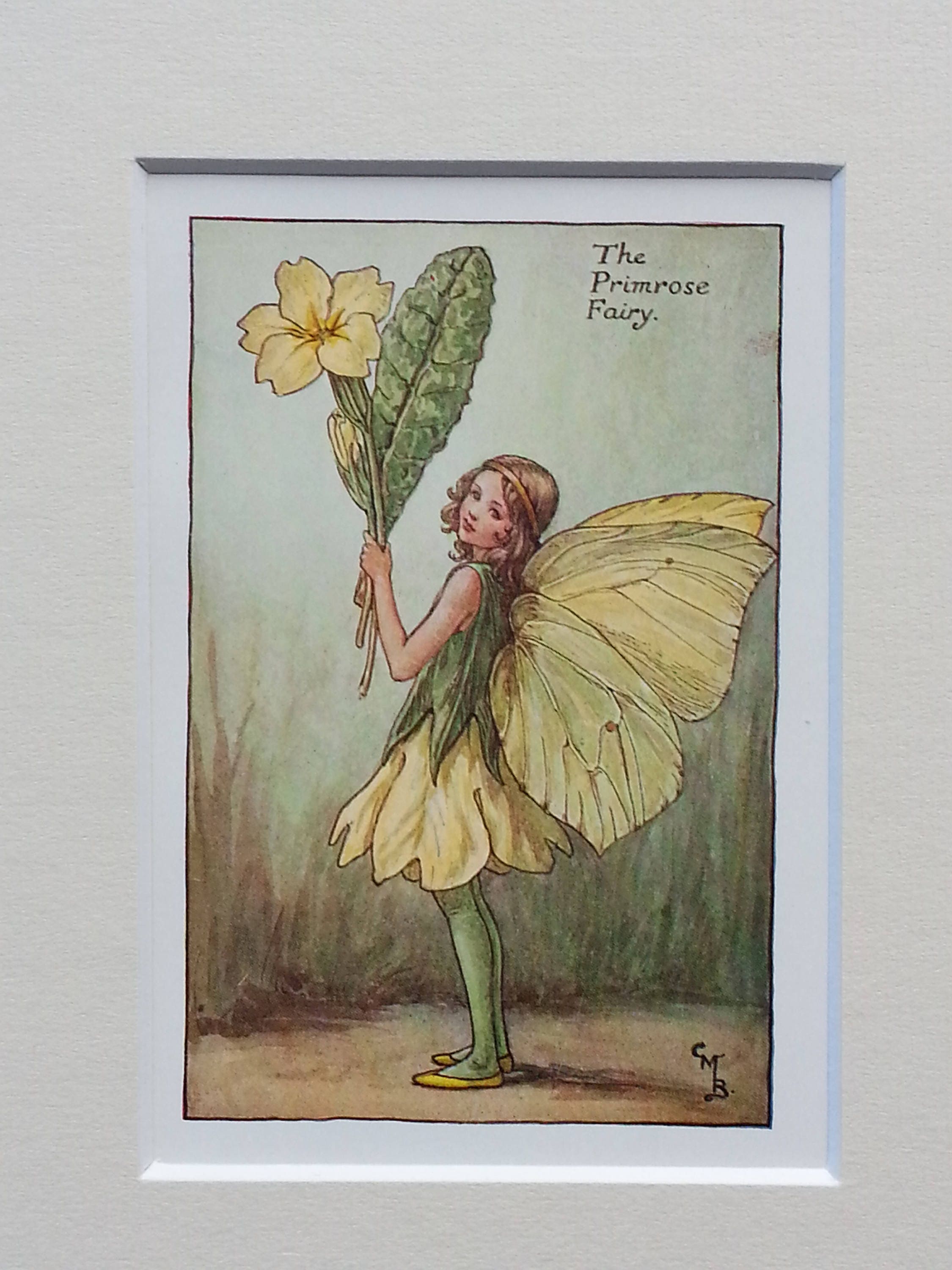 Flower Fairies Primrose Flower Fairy CICELY MARY BARKER | Etsy