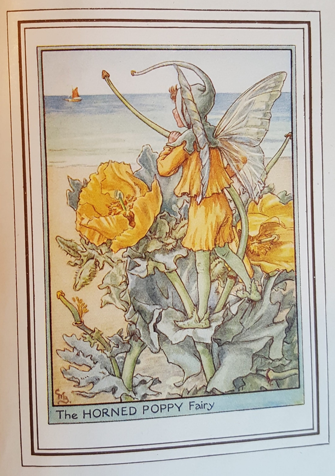 Horned Poppy Flower Fairy UNMOUNTED Flower Fairies 1930's CICELY M ...