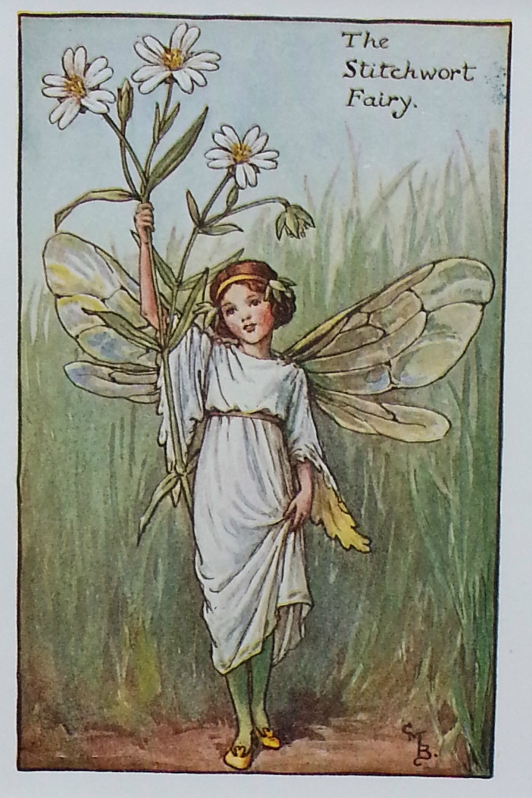 Flower Fairy Vintage Print 1930s Stitchwort - CICELY MARY BARKER Flower ...