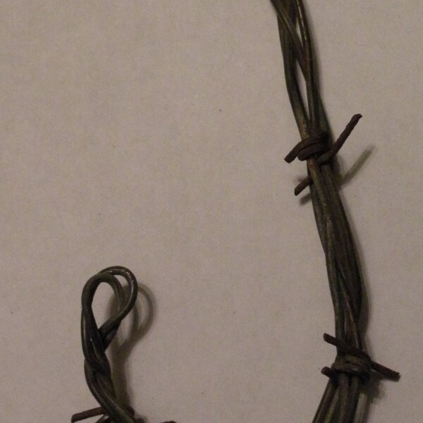 Barbed Wire Art - Etsy