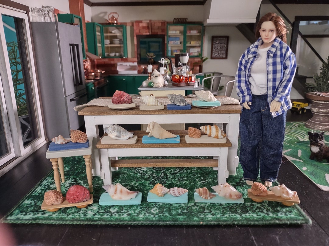 Dollhouse 1/12 Scale Shell Decorations Beach House - Etsy