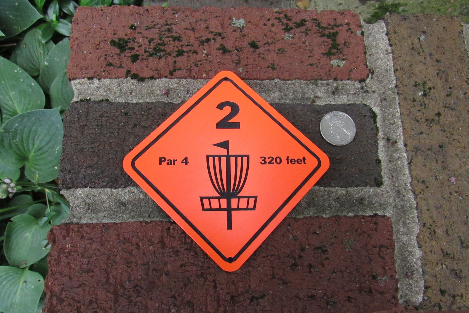 Custom Disc Golf Signs - Etsy