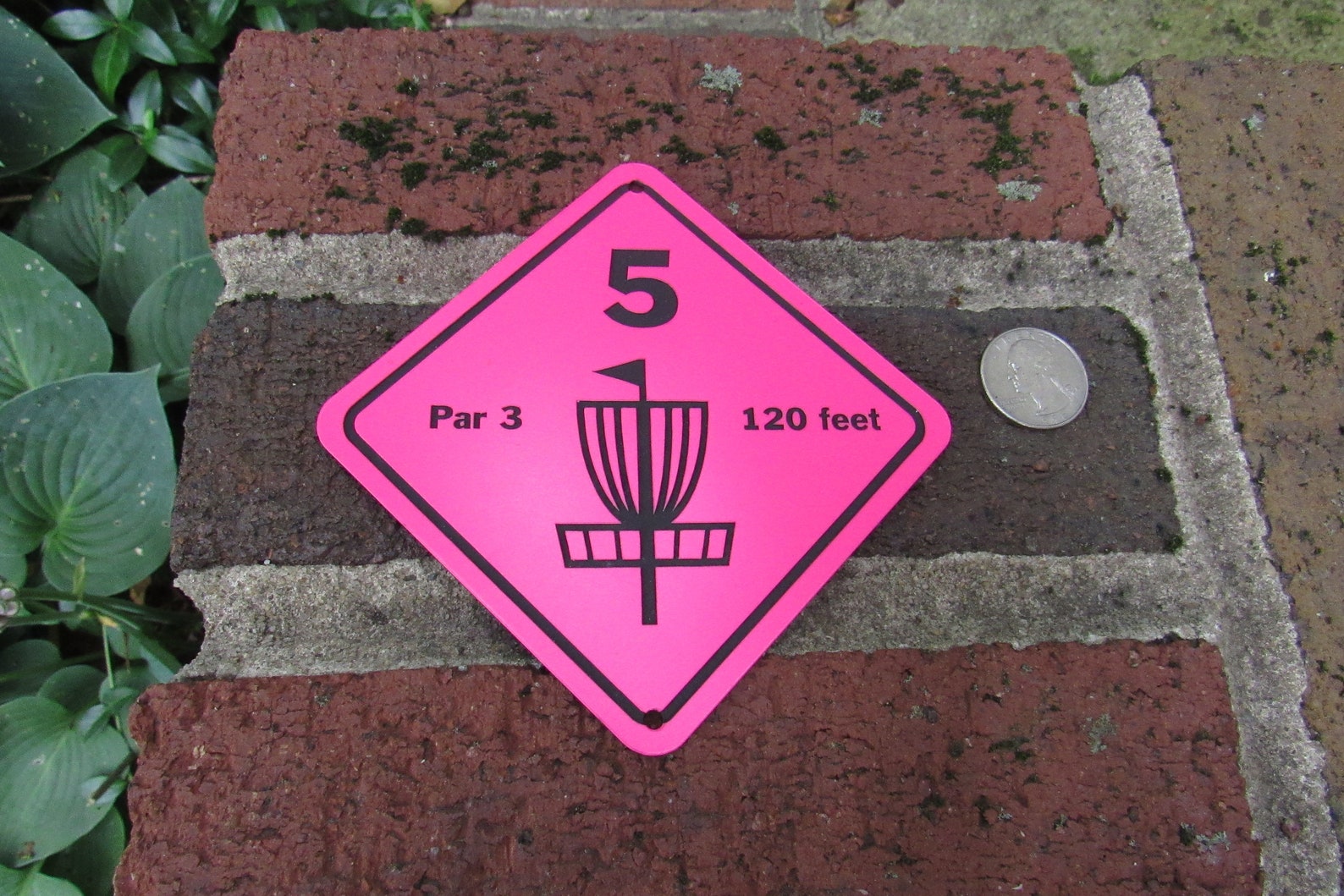 Custom Disc Golf Signs - Etsy