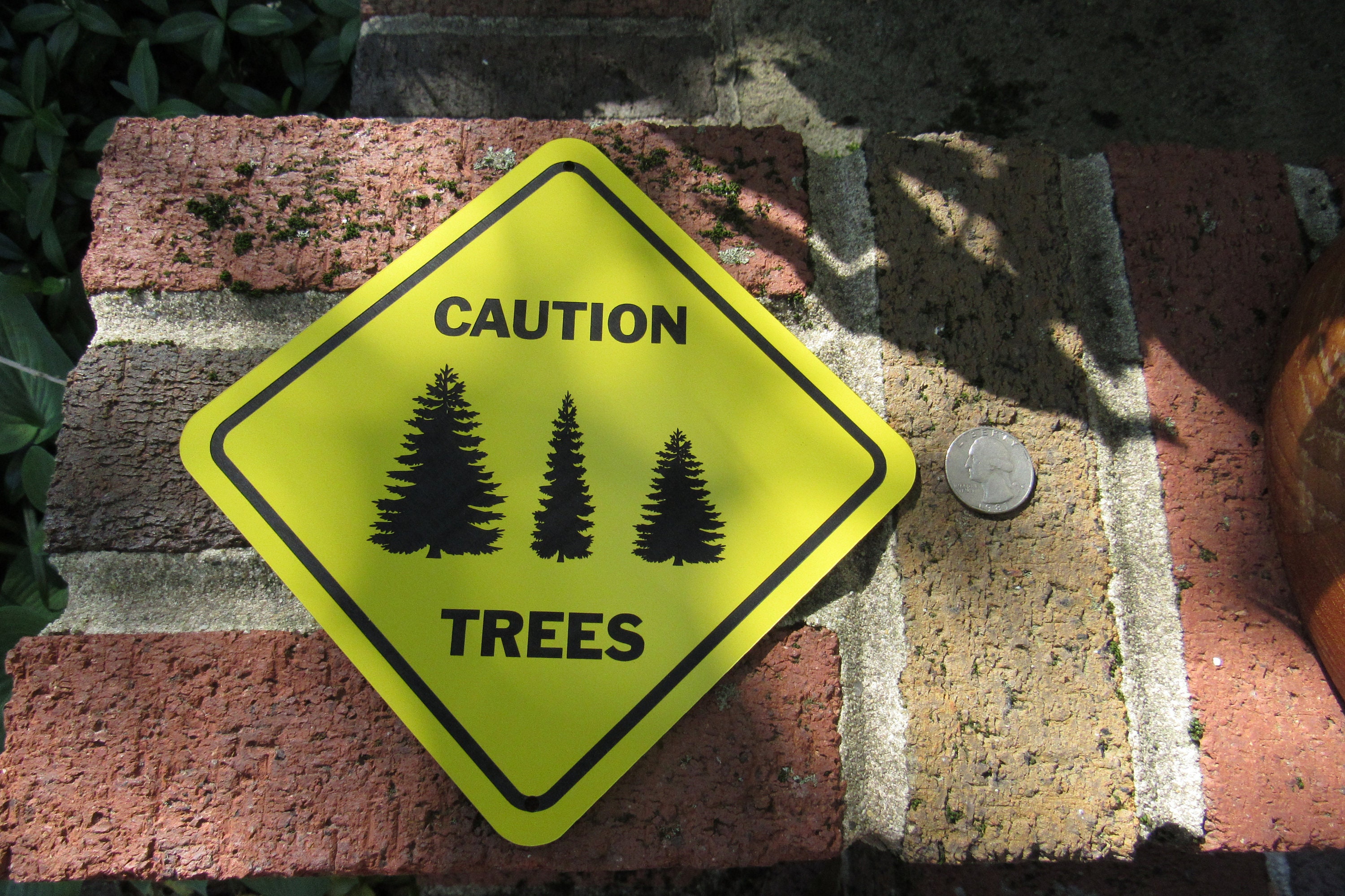 Caution Trees Disc Golf Outdoor Sign - Etsy