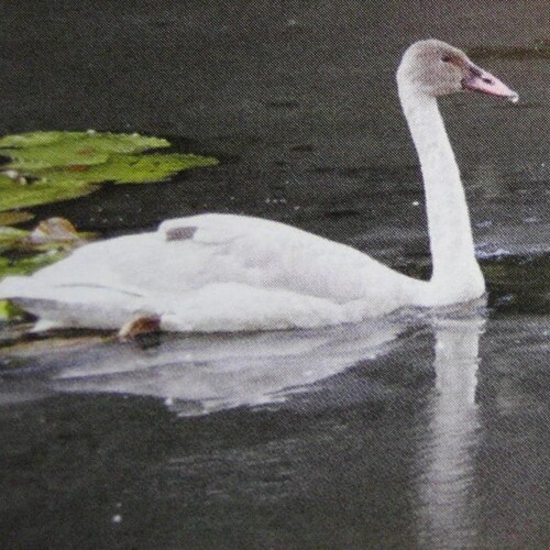 PotterMarshJewelry - Etsy