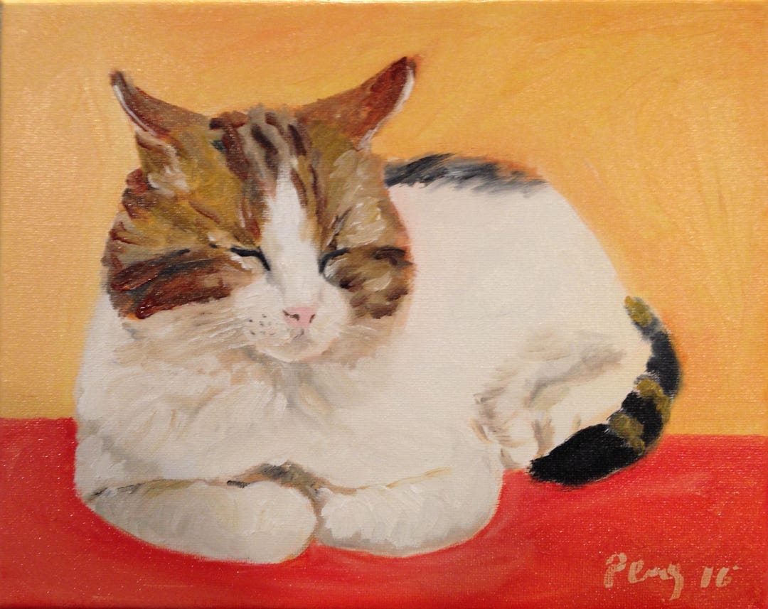 Cat Napping - Etsy