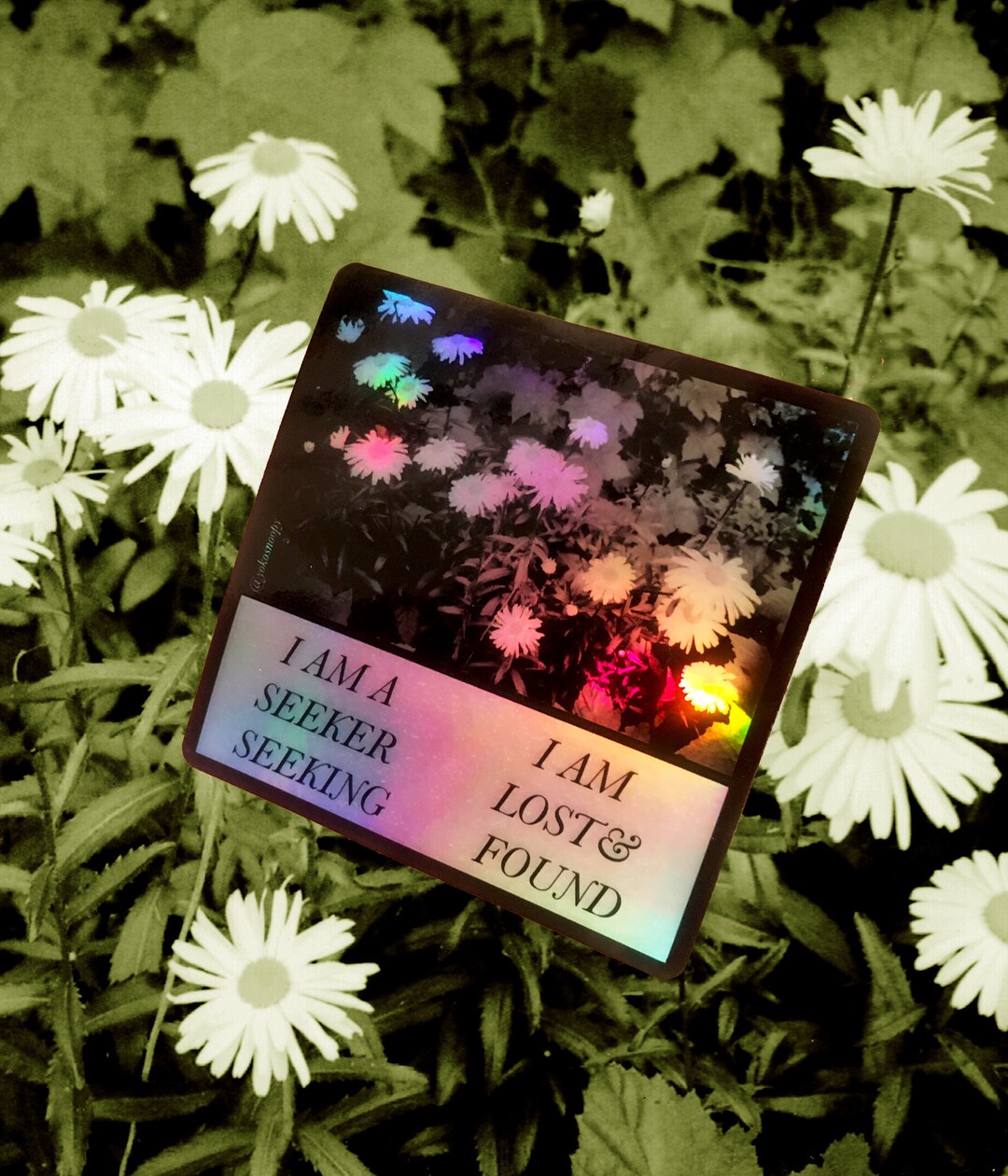 Hologram Seeker Sticker ~ High Quality Vinyl Waterproof Sticker Decal ...