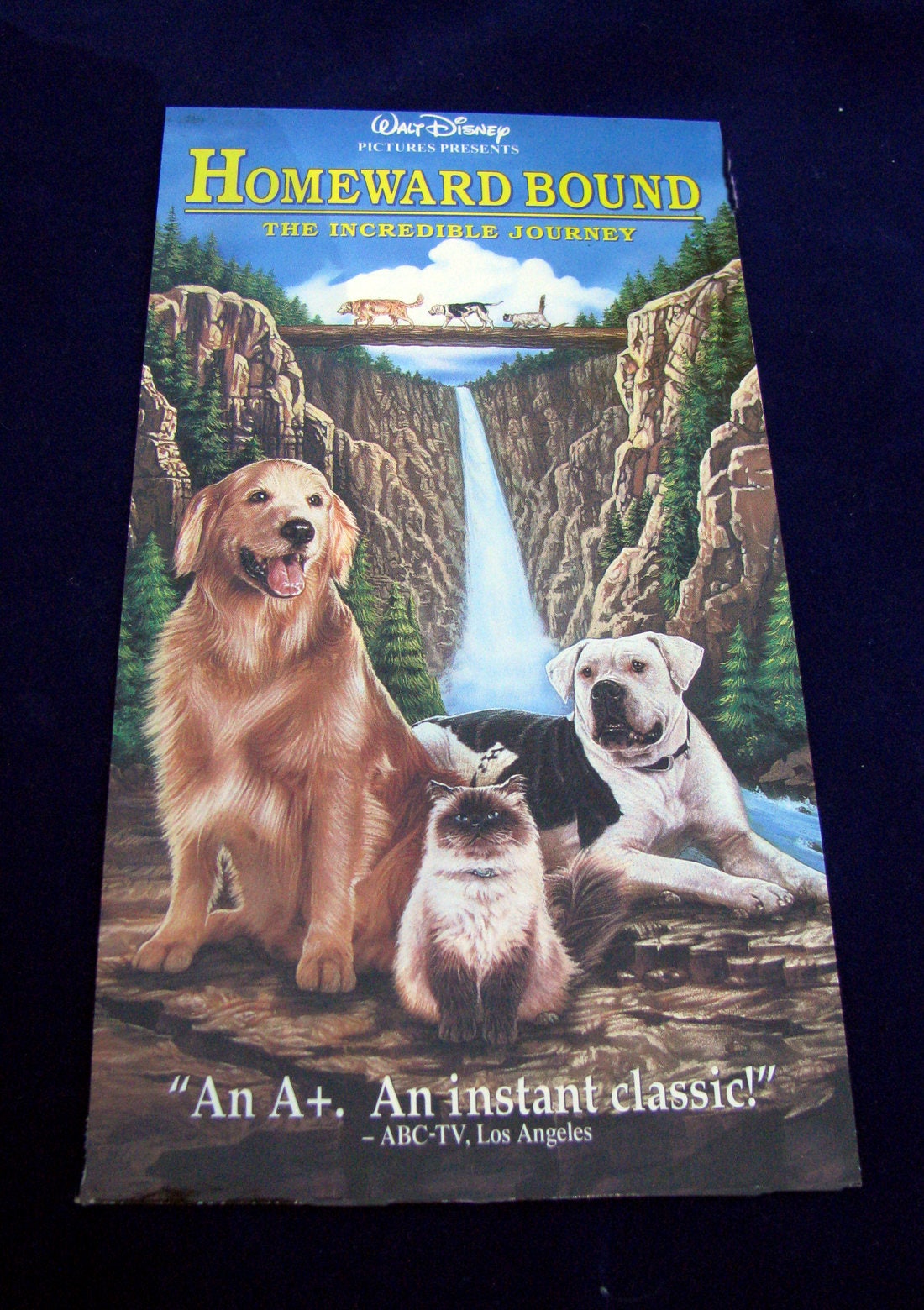 Homeward Bound The Incredible Journey 1993