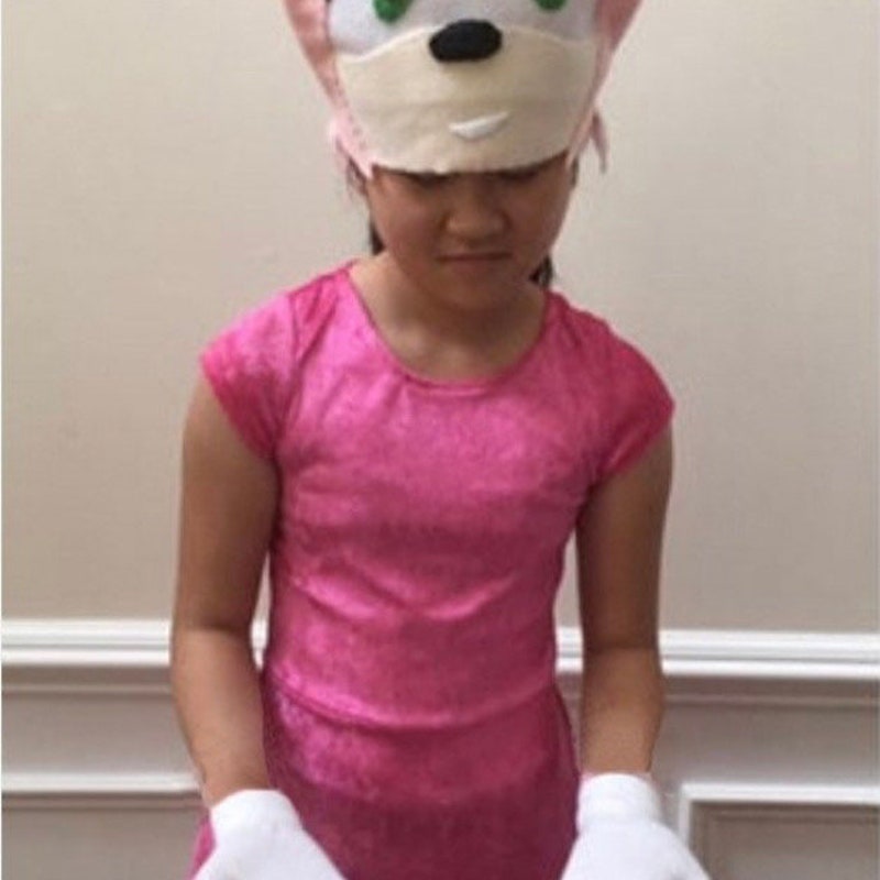 Amy Rose Costume - Etsy