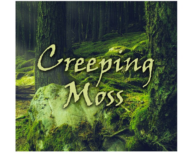 Creeping Moss Perfume Oil Tree Green Mosses Lichen Roots Earth Damp ...