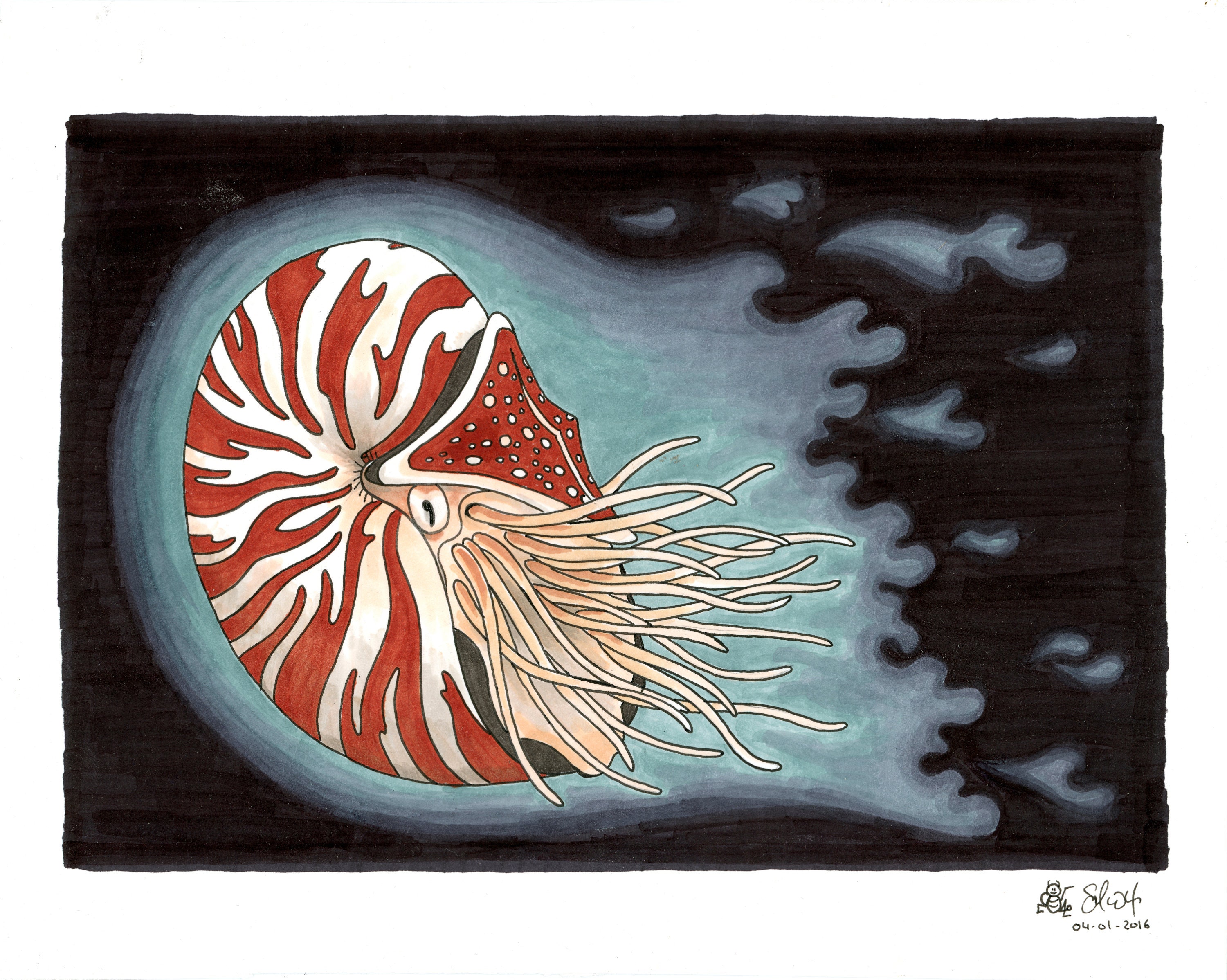 Alien Nautilus Drawing original - Etsy