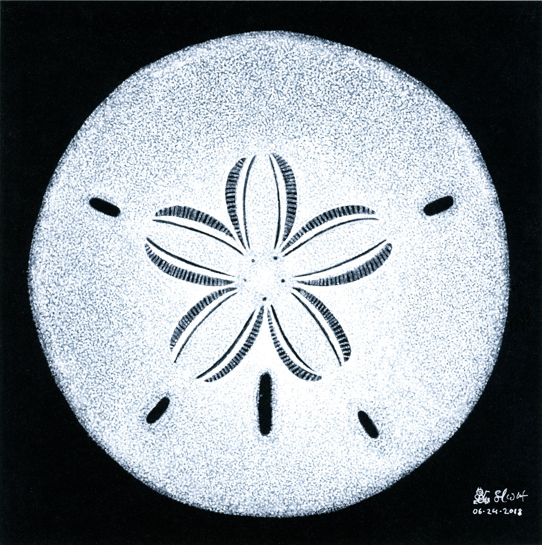 White Sand Dollar - Pointillism Drawing (original) - Etsy