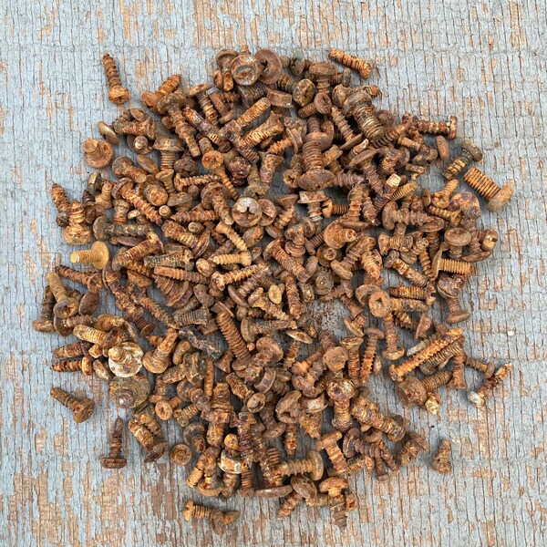 Rusty Jewelry - Etsy