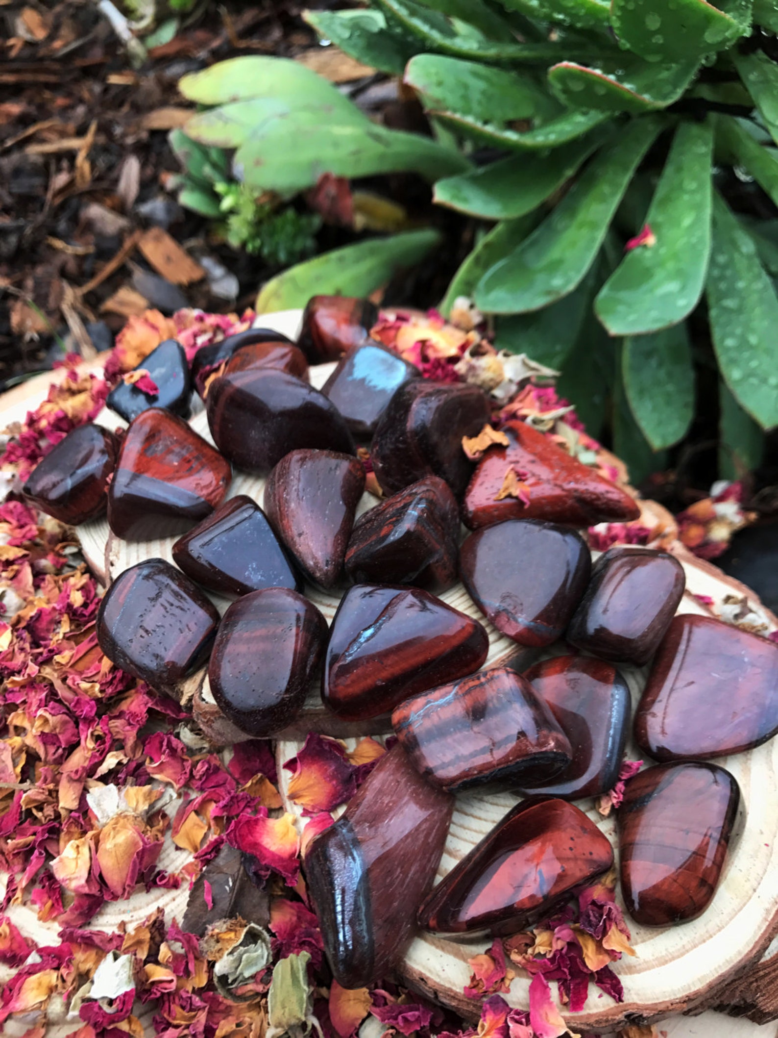 RED TIGER EYE grade A Natural Tumbled Polished Stone - Etsy