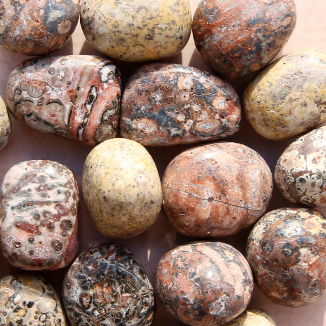 LEOPARD SKIN JASPER grade A Natural Tumbled Polished Stones - Etsy