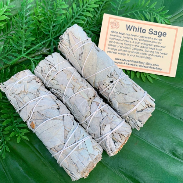 Sage Bundle - Etsy