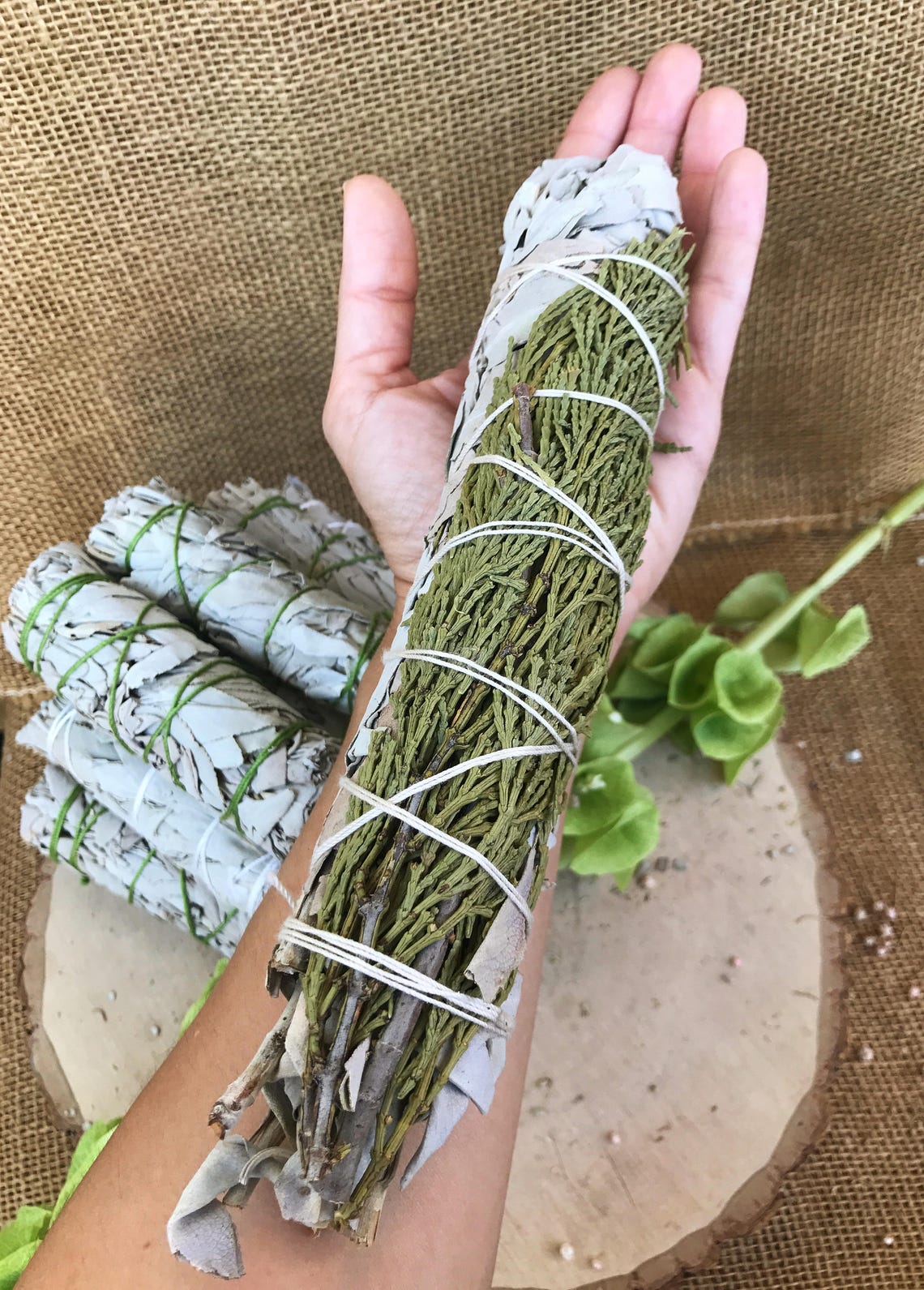 JUMBO CEDAR & SAGE Smudge Stick Large White Sage Bundle | Etsy