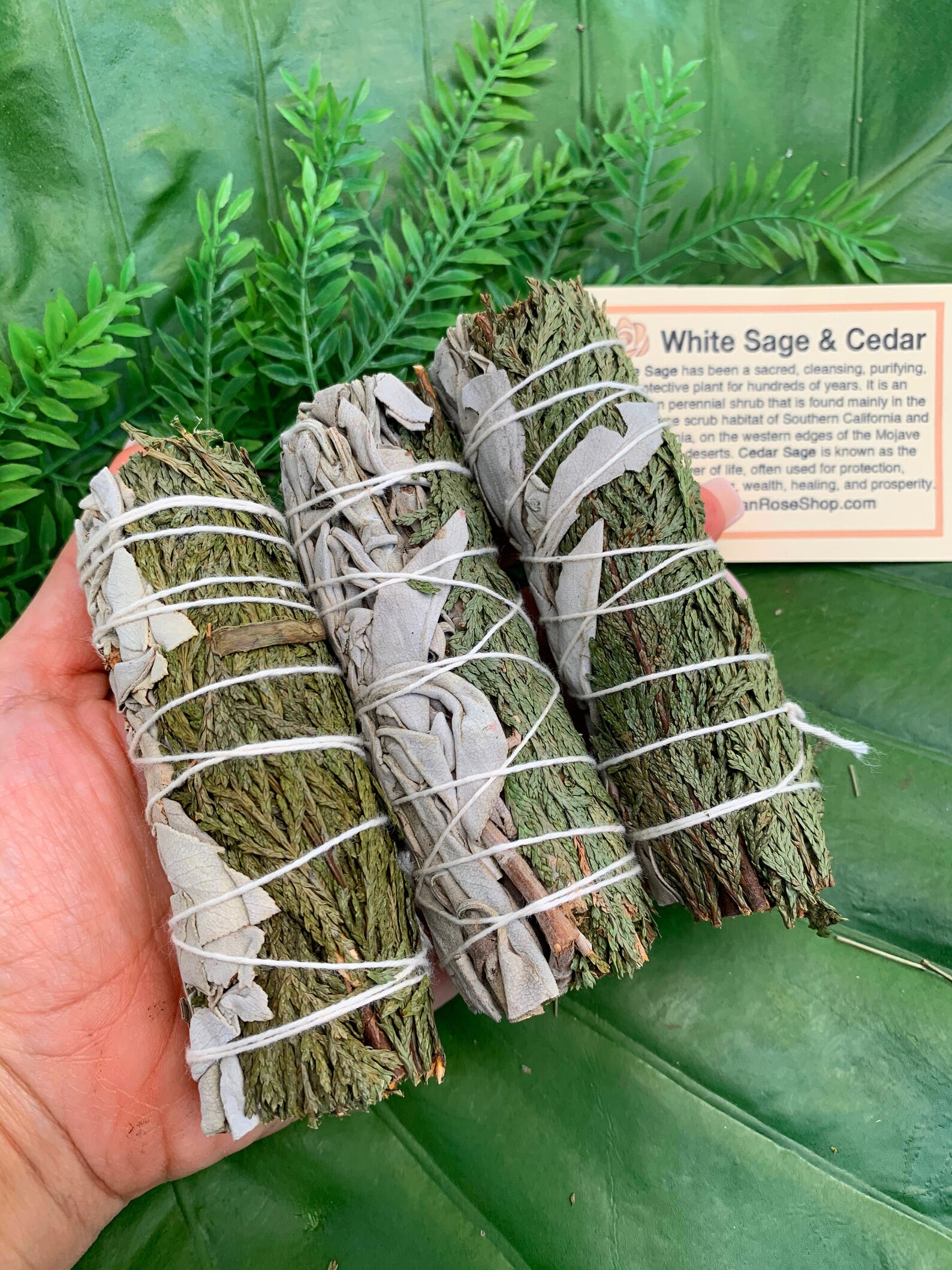 WHITE SAGE & CEDAR Smudge Stick Sage Bundle for Ceremony - Etsy