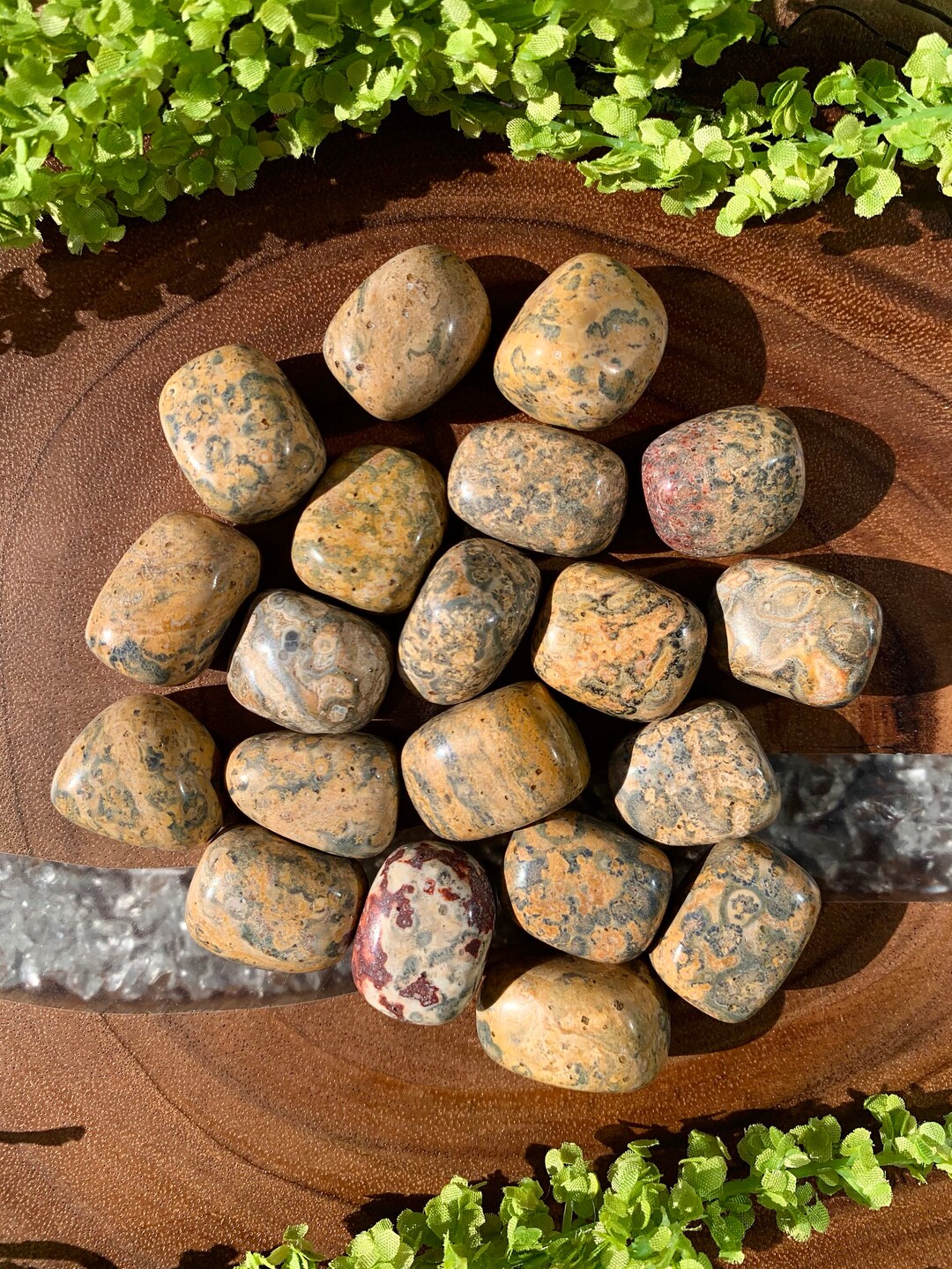 LEOPARD SKIN JASPER (grade A Natural) Tumbled Polished Stones Gemstone ...