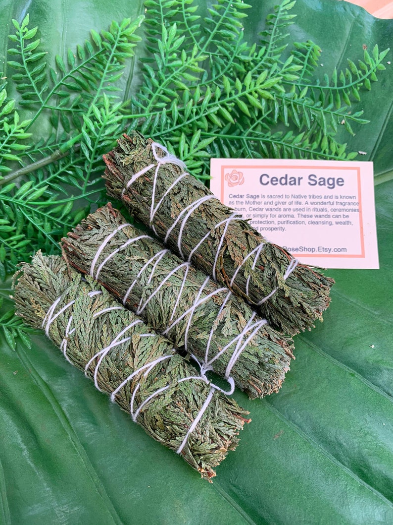 CEDAR SAGE Smudge Stick | Sage Bundle for Ceremony, Meditation, Altar ...