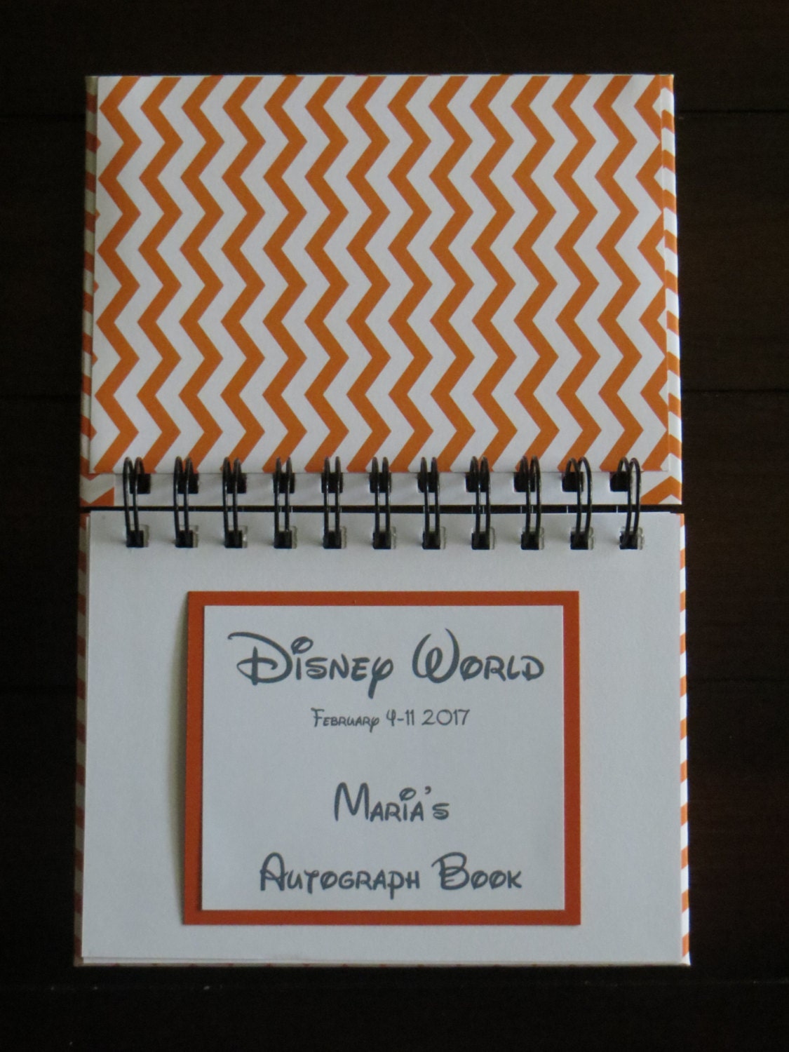 Personalized Disney Autograph & Photo Book Moana - Etsy