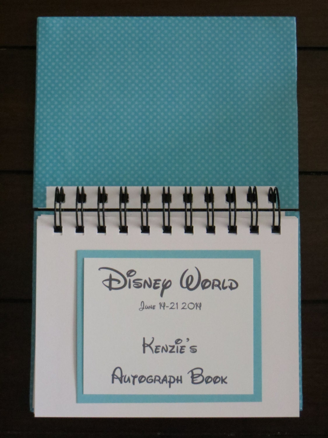 Personalized Disney Autograph & Photo Book Frozen Elsa - Etsy