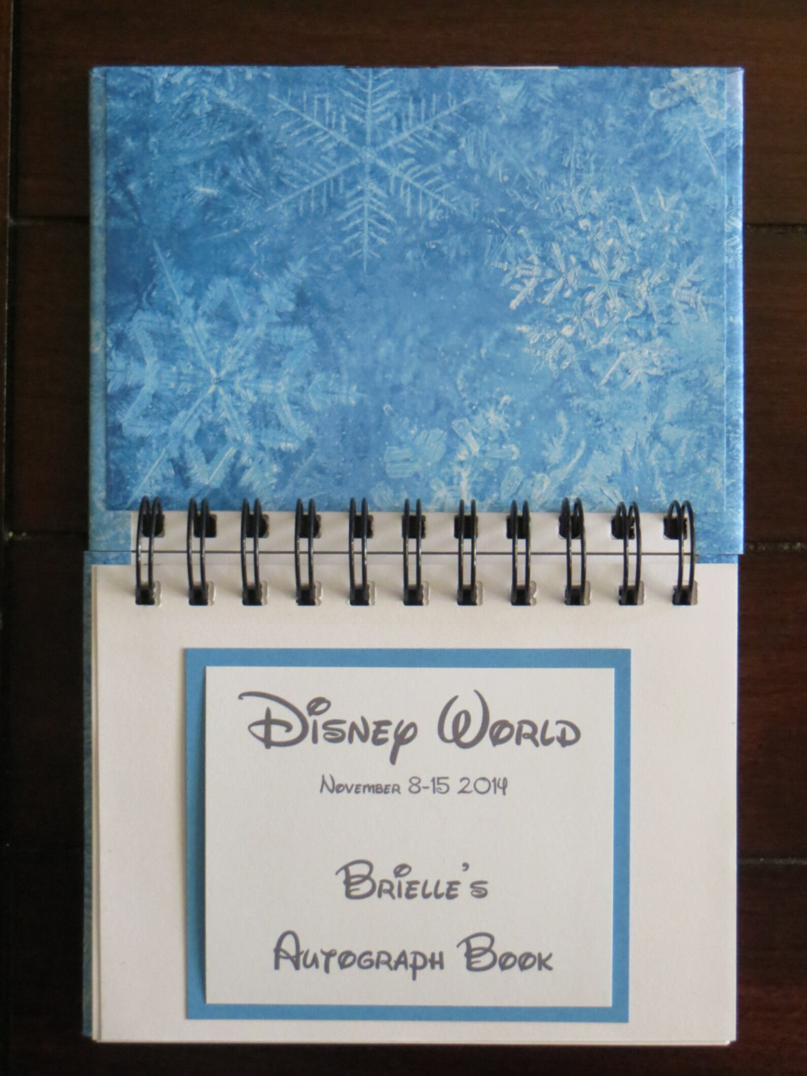 Personalized Disney Autograph & Photo Book Elsa Anna - Etsy