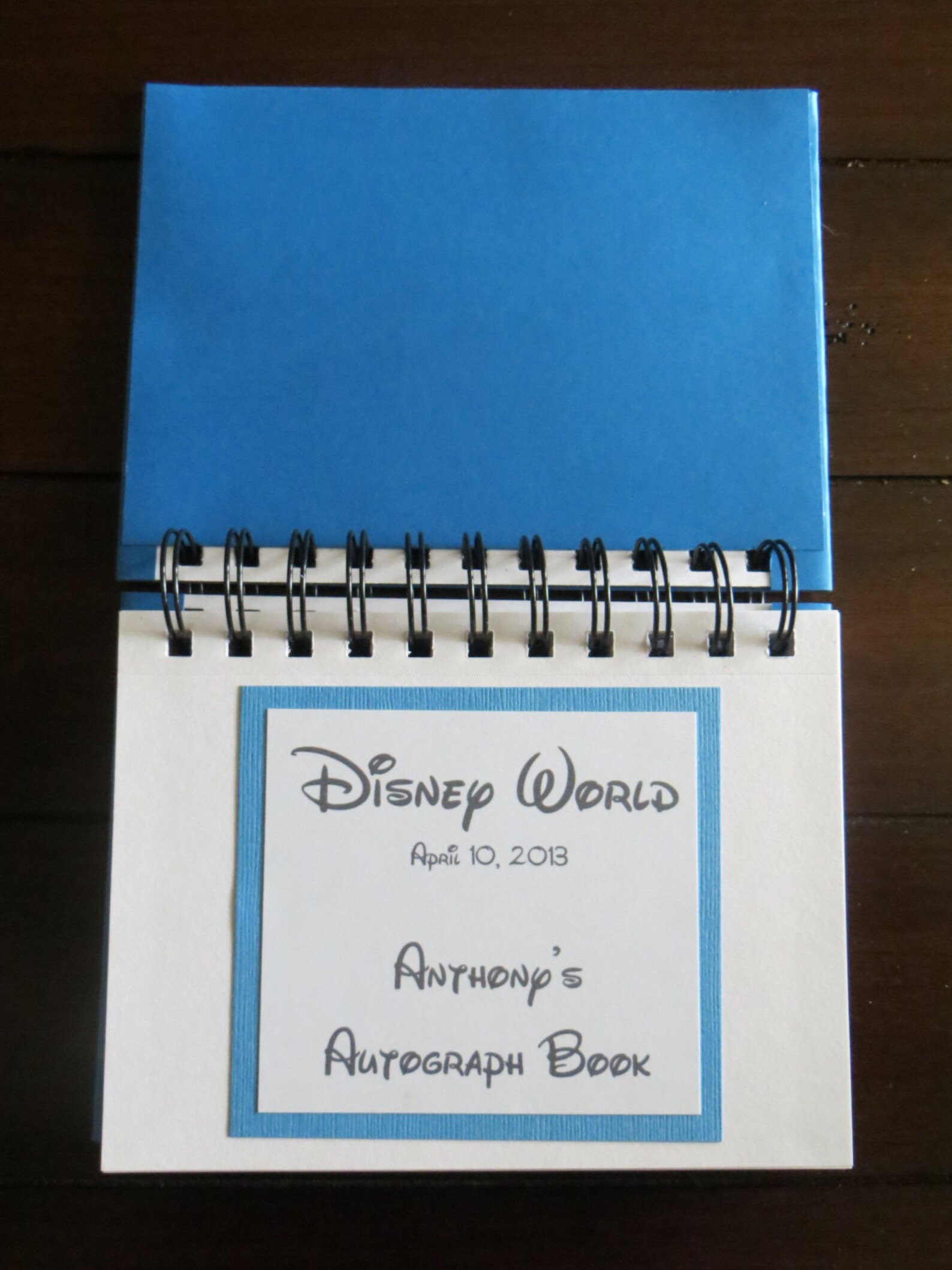 Personalized Disney Autograph & Photo Book - Mickey Mouse - Donald Duck ...