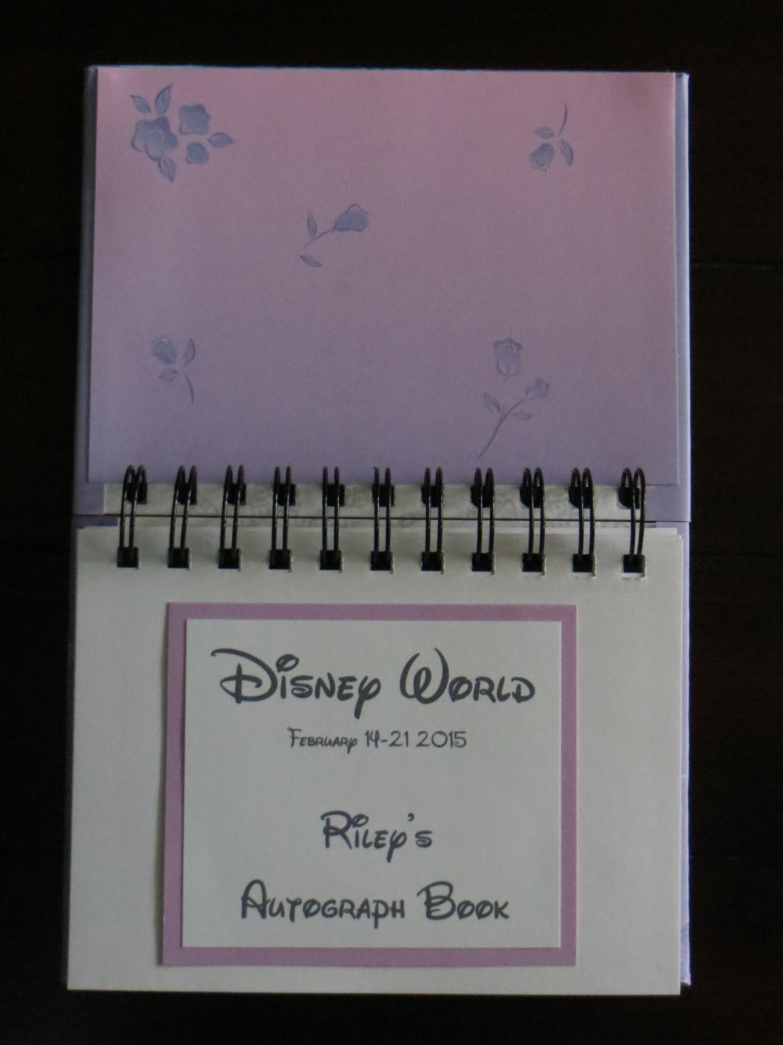 Personalized Disney Autograph & Photo Book Princess - Etsy