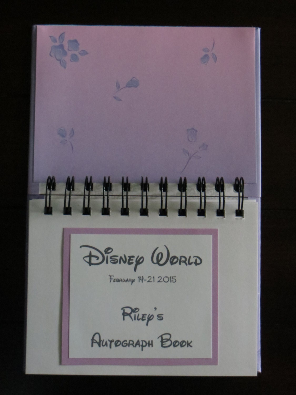 Personalized Disney Autograph & Photo Book Princess - Etsy