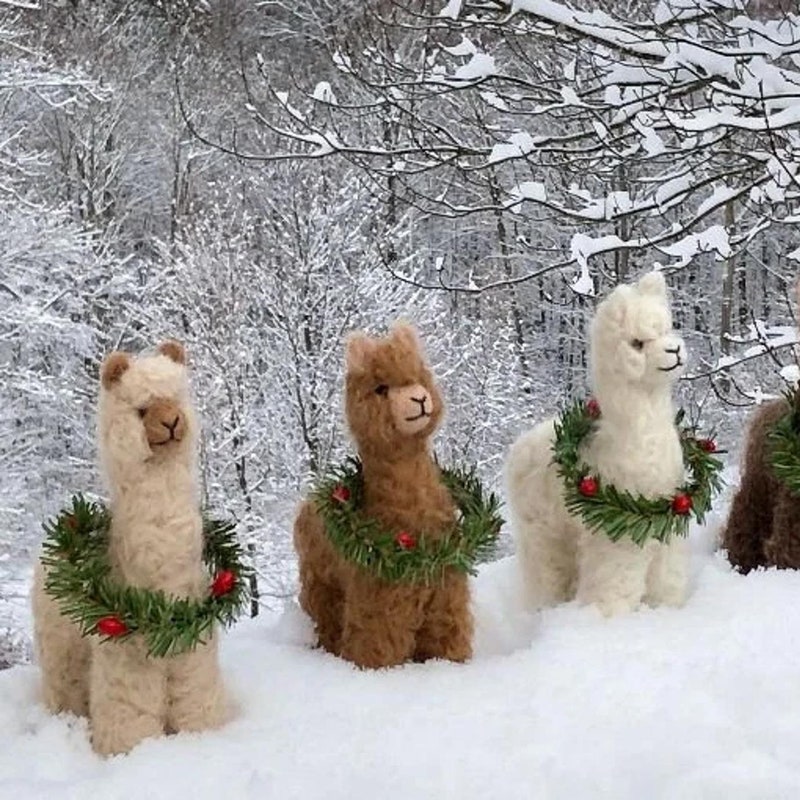 Llama Christmas Gift - 60+ Gift Ideas for 2025