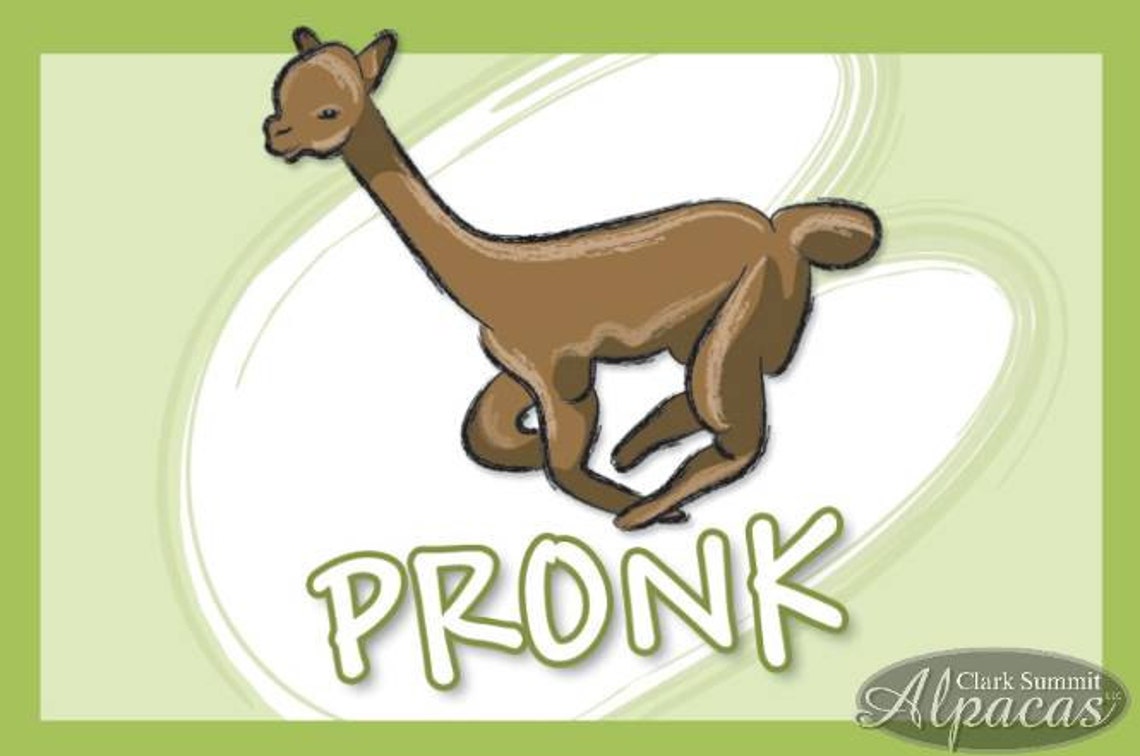 Board Game With Alpacas/llamas Unique Gift Educational Fun | Etsy