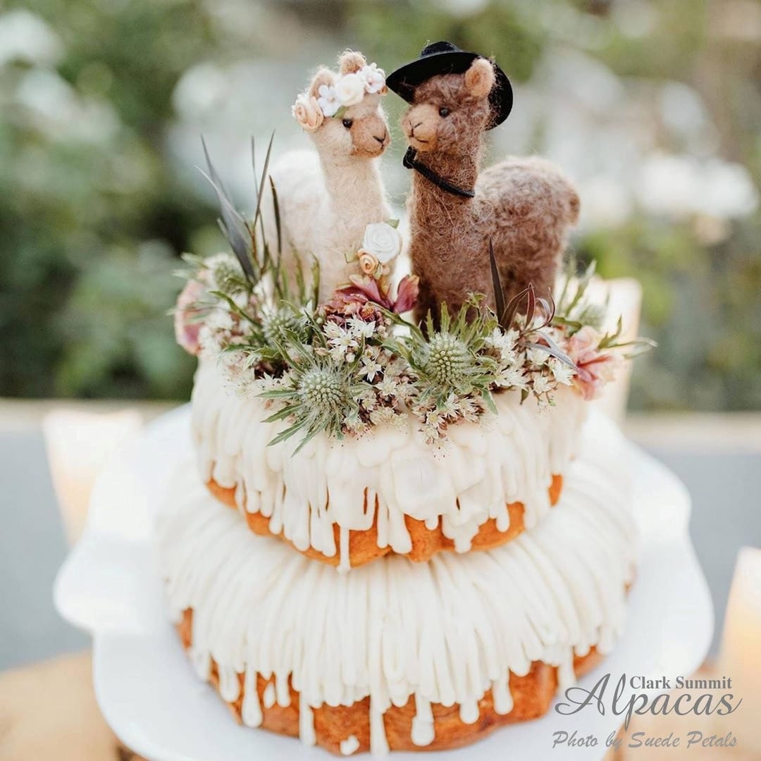 Alpaca Bride Groom - Unique Wedding Cake Topper for Llama Lovers - Fun ...